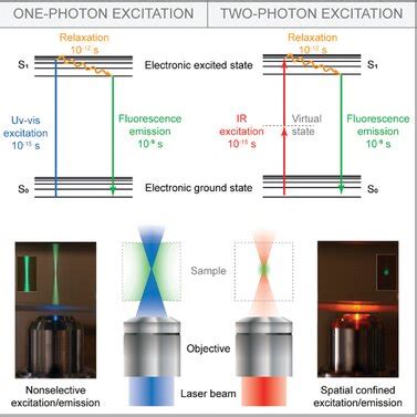 Multiphoton Lithography As A Promising Tool For Biomedical Applications Request PDF