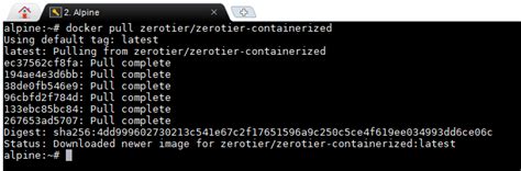 Docker Zerotier Sicko 博客园