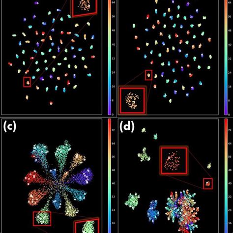 Umap Is Generated From The Test Data Sets Predicted And True