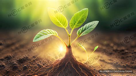 Ai创作图幼苗的根部扎根在泥土中 突出长长的根须 幼苗有两片新鲜嫩绿的叶子 背景中有清晨阳光照射下来 背景虚化 写实风格 昵图网