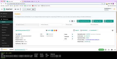 Part 2 GitOps System Sync For GKE Rafay Product Documentation