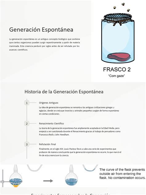 Historia Y Refutación De La Generación Espontánea Pdf Biología