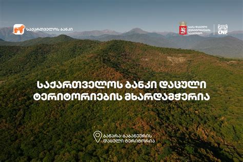 საქართველოს ბანკი დაცული ტერიტორიების მხარდამჭერია Entrepreneur