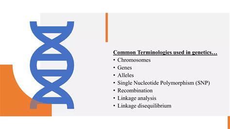 Basics Of Genetics Pdf Genetics Science