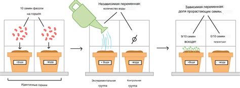 Matlab实现自动种子区域生长算法 Csdn博客