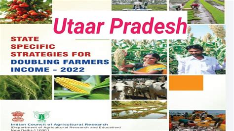 State Specific Uttar Pradesh Strategies For Doubling Farmers Income