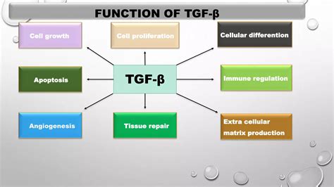 Tgf Beta Signalling Pathway Pptx