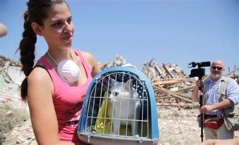 Il Micio Sam Salvato Dal Tornado A Venezia