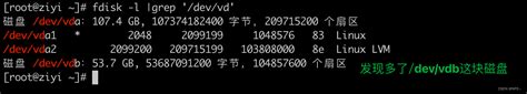 linux给磁盘扩容（lvm方式） lvm扩容 csdn博客