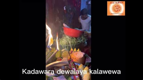 කඩවර දේවාලය කලා වැව විදේශිය කතට ආ මලයක්ෂයා Youtube