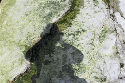 Jean Claude Clavet Culture Gaspésie