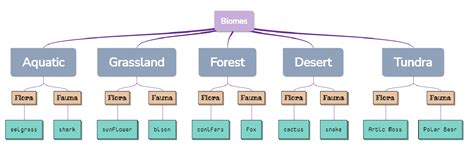 What Is A Thinking Map Types And Examples