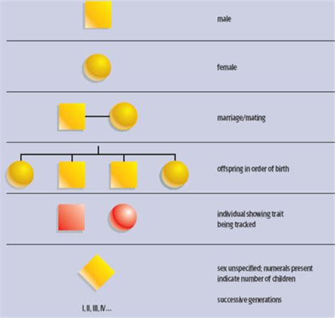 Biology Chapter Flashcards Quizlet