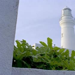 Lighthouse On Tumblr