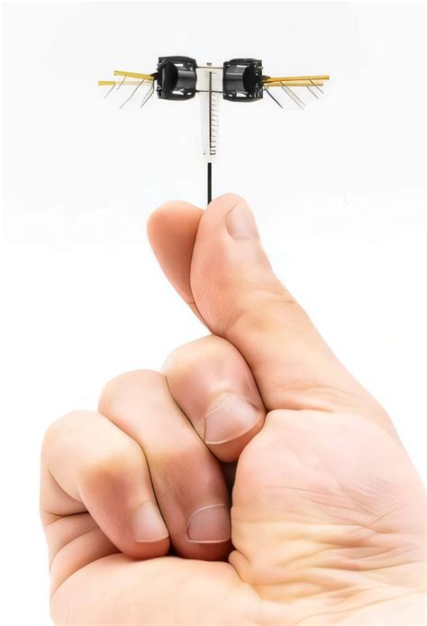 Insect Sized Jumping Robot Can Traverse Challenging Terrains And Carry