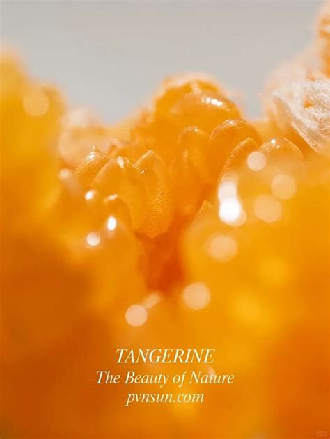 果蔬的自然之美耙耙柑100种美食日常拍摄 小红书