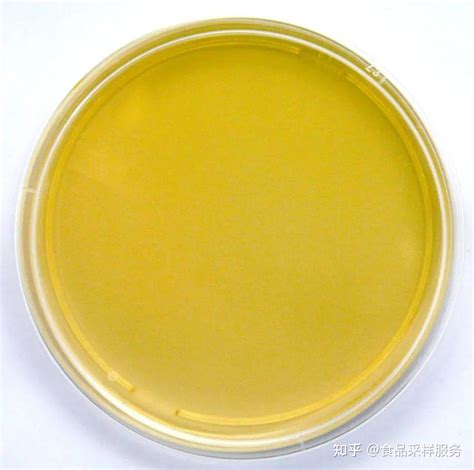 微生物室的培养基该怎么管理？ 知乎