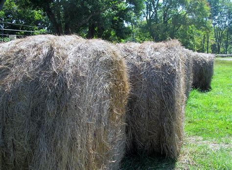 Rolling Hay Photograph By Loretta Pokorny