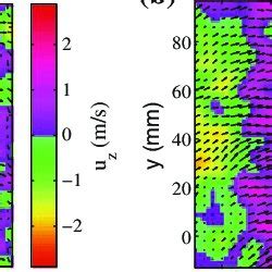 The 2D Vector Field In A Plane Overlaid Over The Vertical Component Of Download Scientific