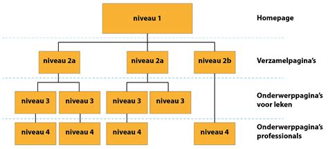 Structuur Van Seksediversiteitnl