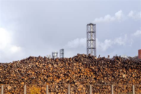 많은 양의 둥근 통나무가 말뚝으로 쌓여 있지만 배경에는 공장 굴뚝을 닮은 두 개의 구조물이 보입니다 0명에 대한 스톡 사진 및 기타 이미지 Istock