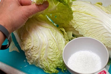 Photos By Jalna Kim Chee