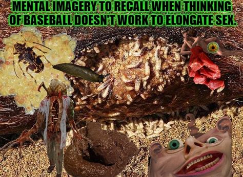 Sex Memes Imgflip
