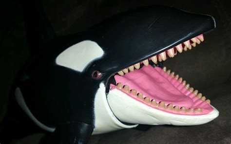 Chap Mei Killer Whale Shamu Bite Action Sea Life Toys R Us Figure 11 1726933122