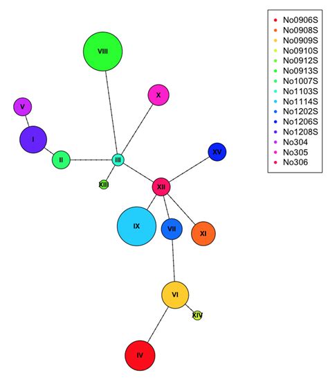 R How To Plot Pie Charts In HaploNet Haplotype Networks Pegas