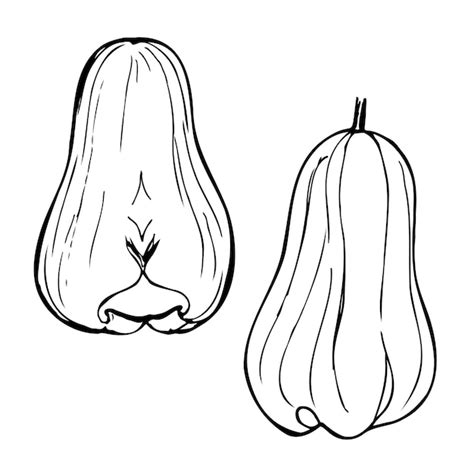 Jeu De Vecteur Noir Et Blanc Pomme Java Isolé Sur Fond Blanc Vecteur Premium