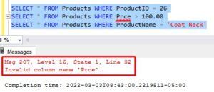 SQL Server GO Explained With Examples