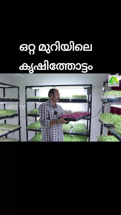 മുറിക്കുള്ളിലെ കൃഷിത്തോട്ടം Microgreen Ajay Gopinath Ernakulam Agri Tv Agri Tv · Original