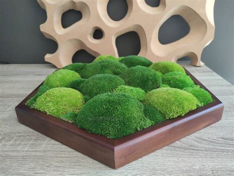 Декоративен топчест скандинавски мъх за декорация пана и украса Цветя декоративни раст