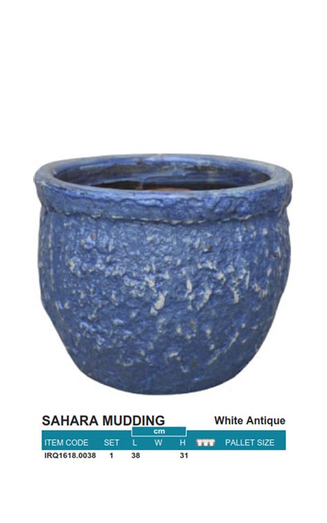 Sahara Mudding Rosa Planters Vietnam Co Ltd