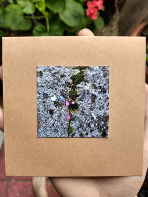 Lints Tom Betteridge