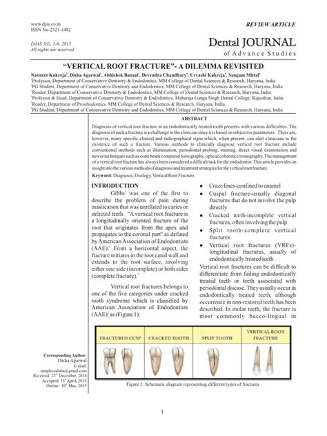 Vertical Root Fracture A Dilemma Revisited Pdf Periodontology Tooth