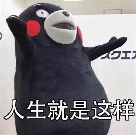 半佛老师视频里面的表情包 无水印 哔哩哔哩