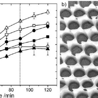 A A Bacterial Bacterial Adhesion Adhesion Per Per Surface Download Scientific Diagram