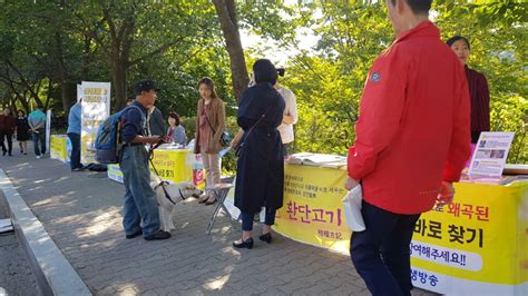 전국을 뜨겁게 달군 개천절 맞이 역사찾기 2천만 서명운동 2 경기도 임시게시판 사단법인 대한사랑