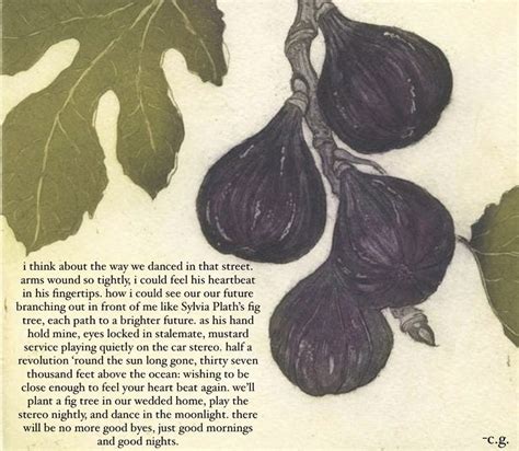 Love Poem Sylvia Plath Fig Tree Pretty Words Beautiful Words