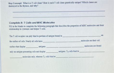 Solved Key Concept What Is A T Cell Clone How Is Each T