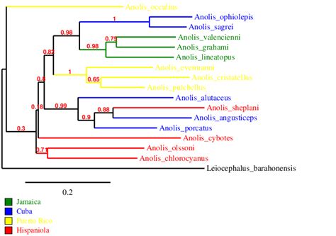 Phylogenyfr One Click Mode