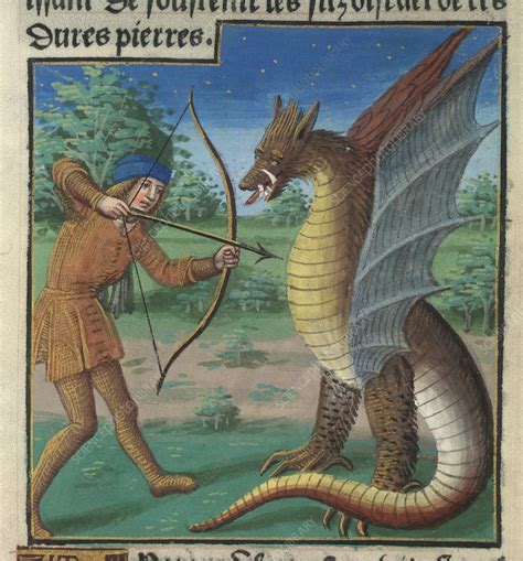 Killing The Python Stock Image C018 3931 Science Photo Library