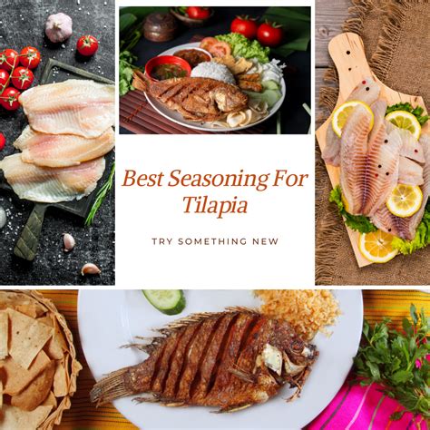Tilapia Seasoning Blends Our Top Expert Recommendations
