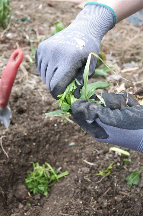 A Guide To Setting Up A Simple Backyard Compost System Compost Backyard Urban Garden