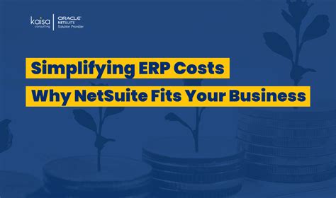 Simplifying Erp Costs Why Netsuite Fits Your Business Providing High Value Solutions To Your