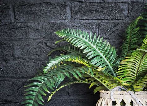 How To Blackwash Brick The Creative Folk