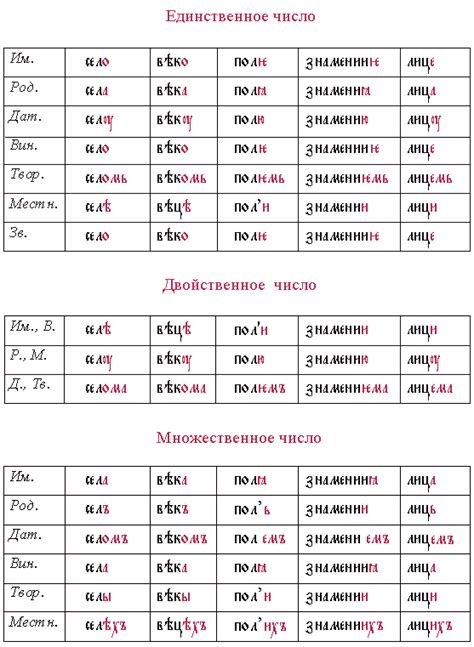 Мужской род