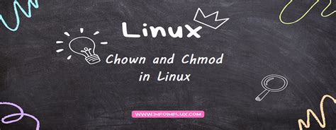 Linux Directory Structure Info Influx
