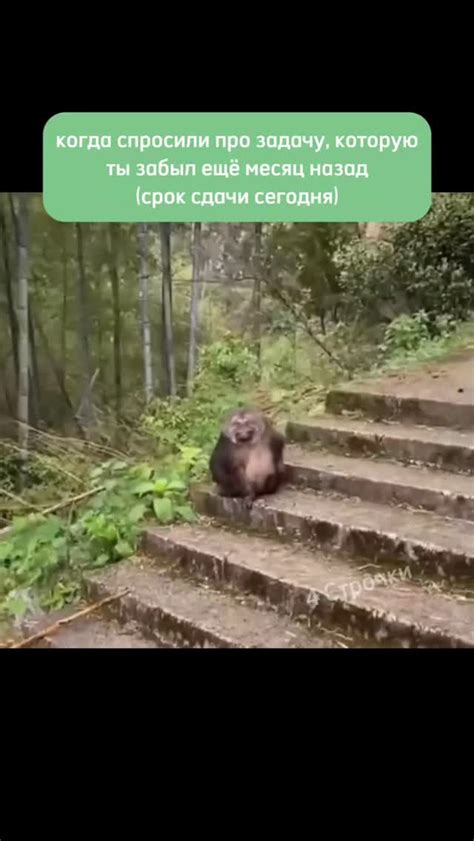 4 Строчки Понравилось Подпишись на нас ⬇️ Fourlinesmem Python Programming Dev Devhumor